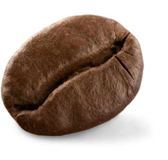 Products | Indulge in the Richness of Deary Coffee