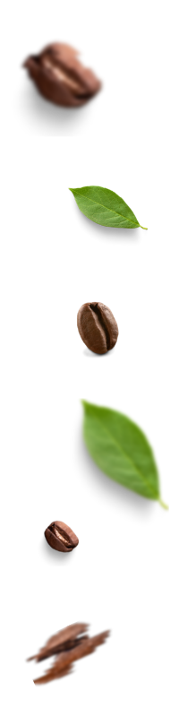Deary Coffee | Indulge in the Richness of Deary Coffee | Premium Coffee