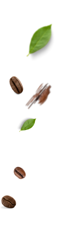 Deary Coffee | Indulge in the Richness of Deary Coffee | Premium Coffee